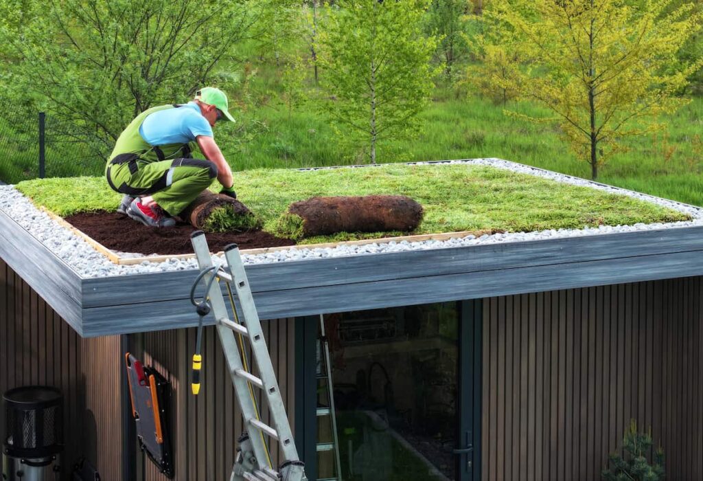Adding a Green Roof to Garden Sheds and Bin Stores - Summerhouse24 Ireland
